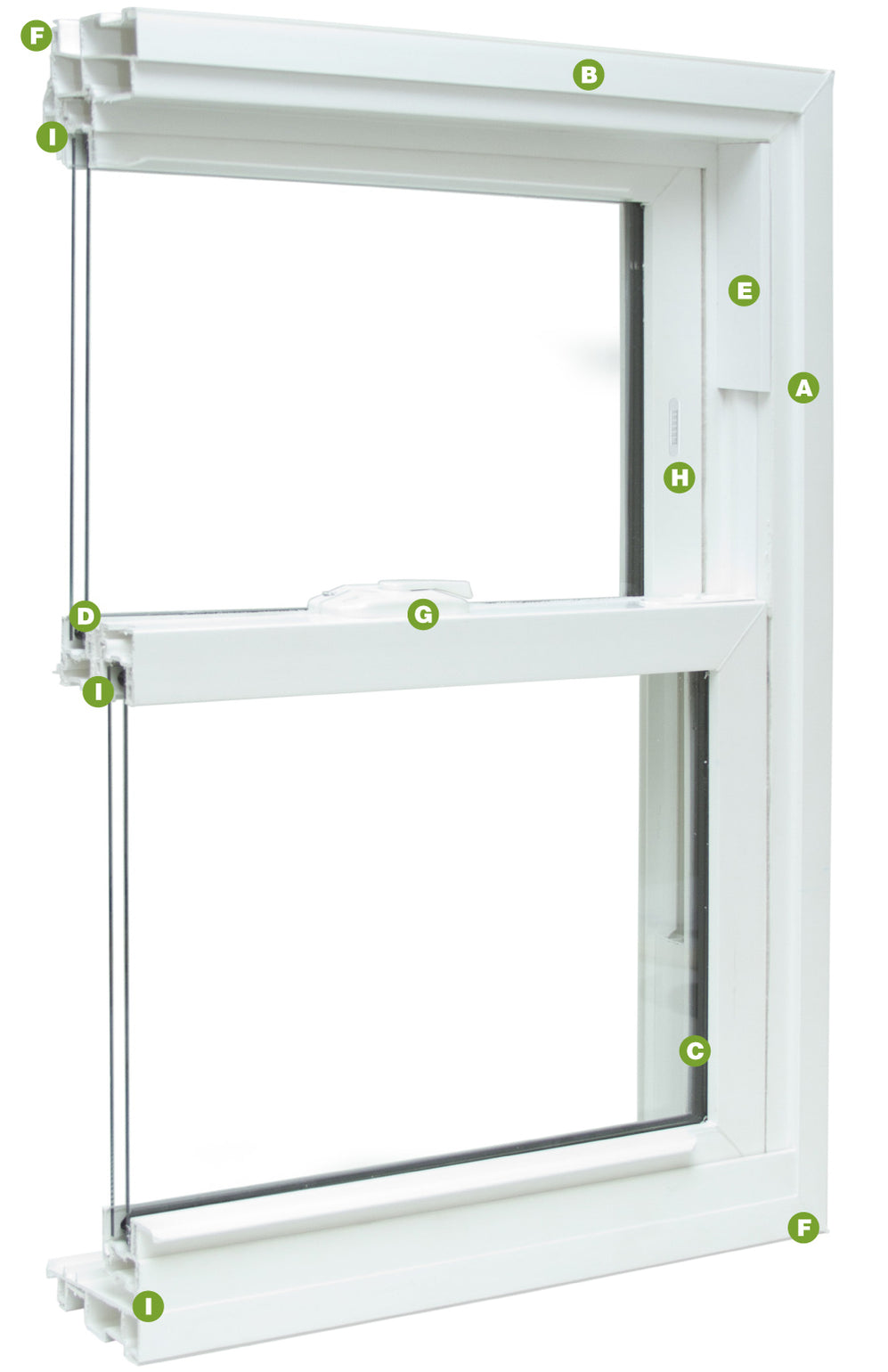 Double Hung Windows All | WholesaleVinylWindows.com